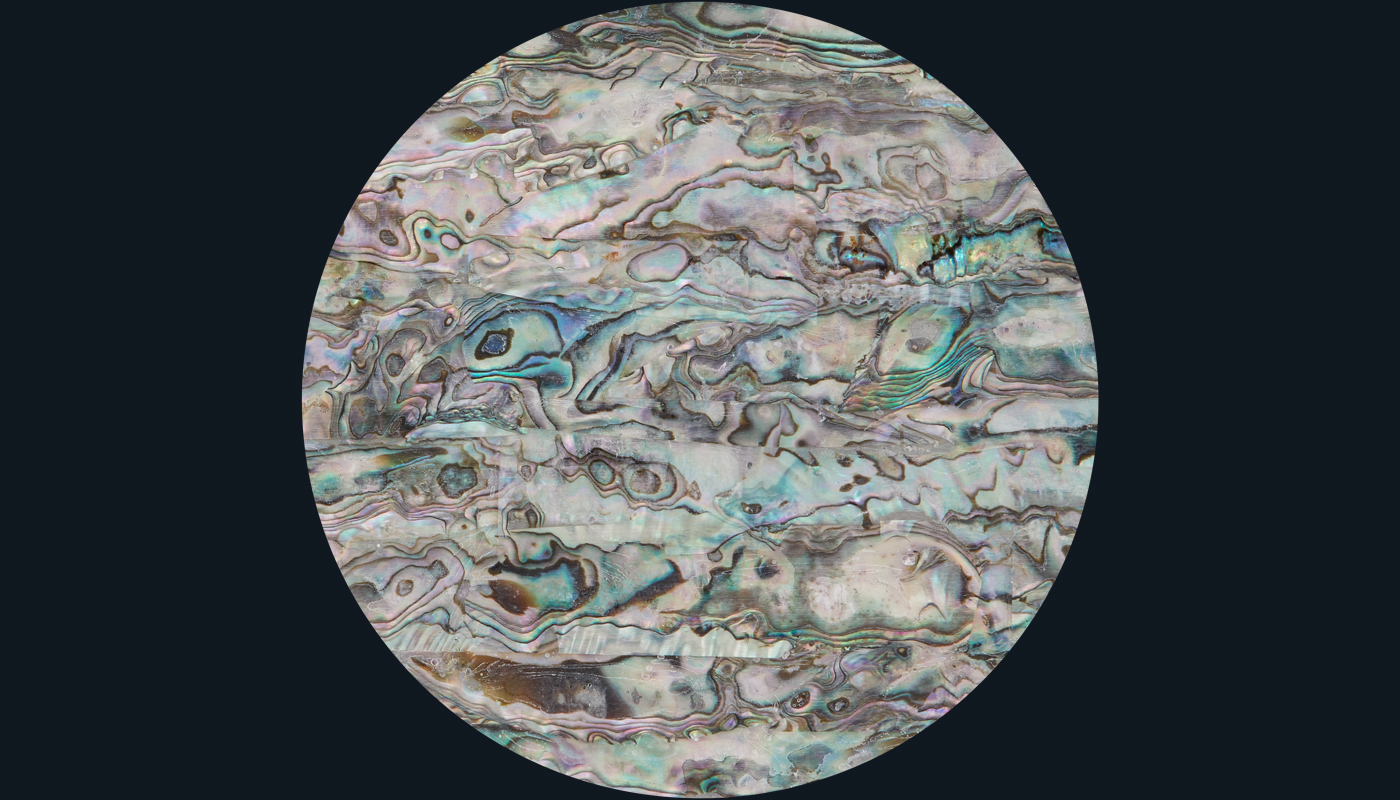 Luméa | Mexican Abalone Veneer