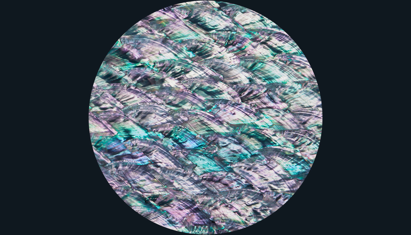 Luméa | Abalone Pearl Veneer